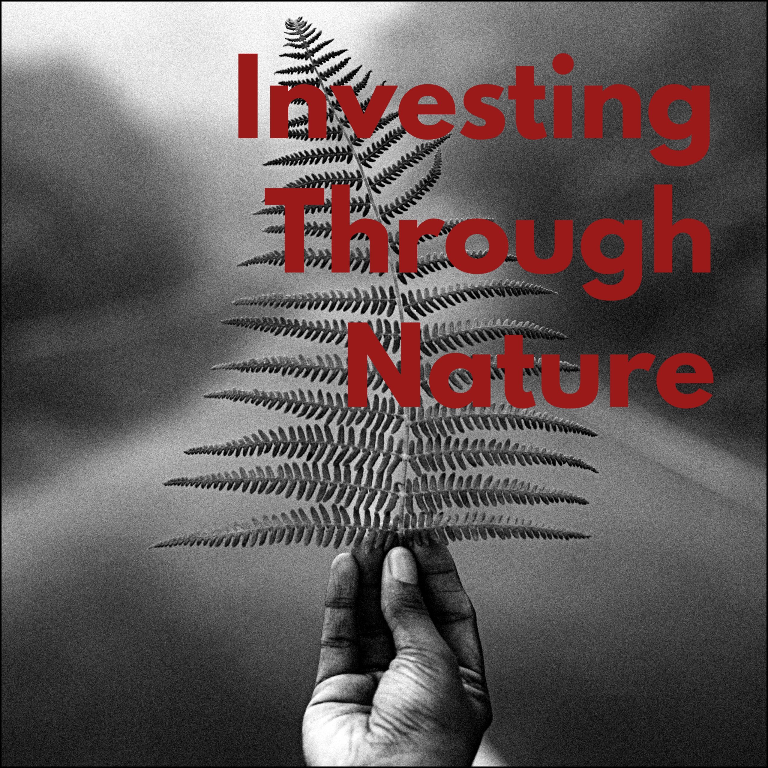 Impact Fund Manager Series - Broadpeak